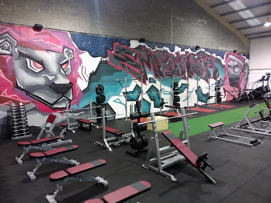 Empower Fitness Carlow Opening Hours Price and Opinions
