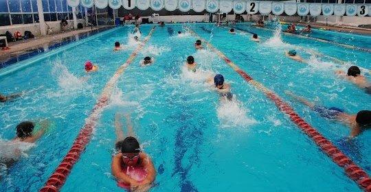 Escuela de Natación Delfines Del Bosque, Irapuato: Horario, Precio y ...